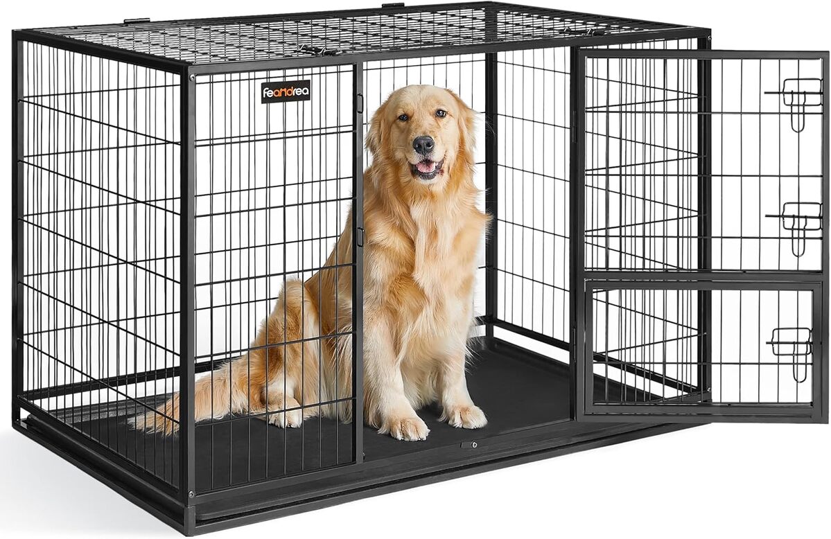 Test de la cage XXL Feandrea pour chiens robustes
